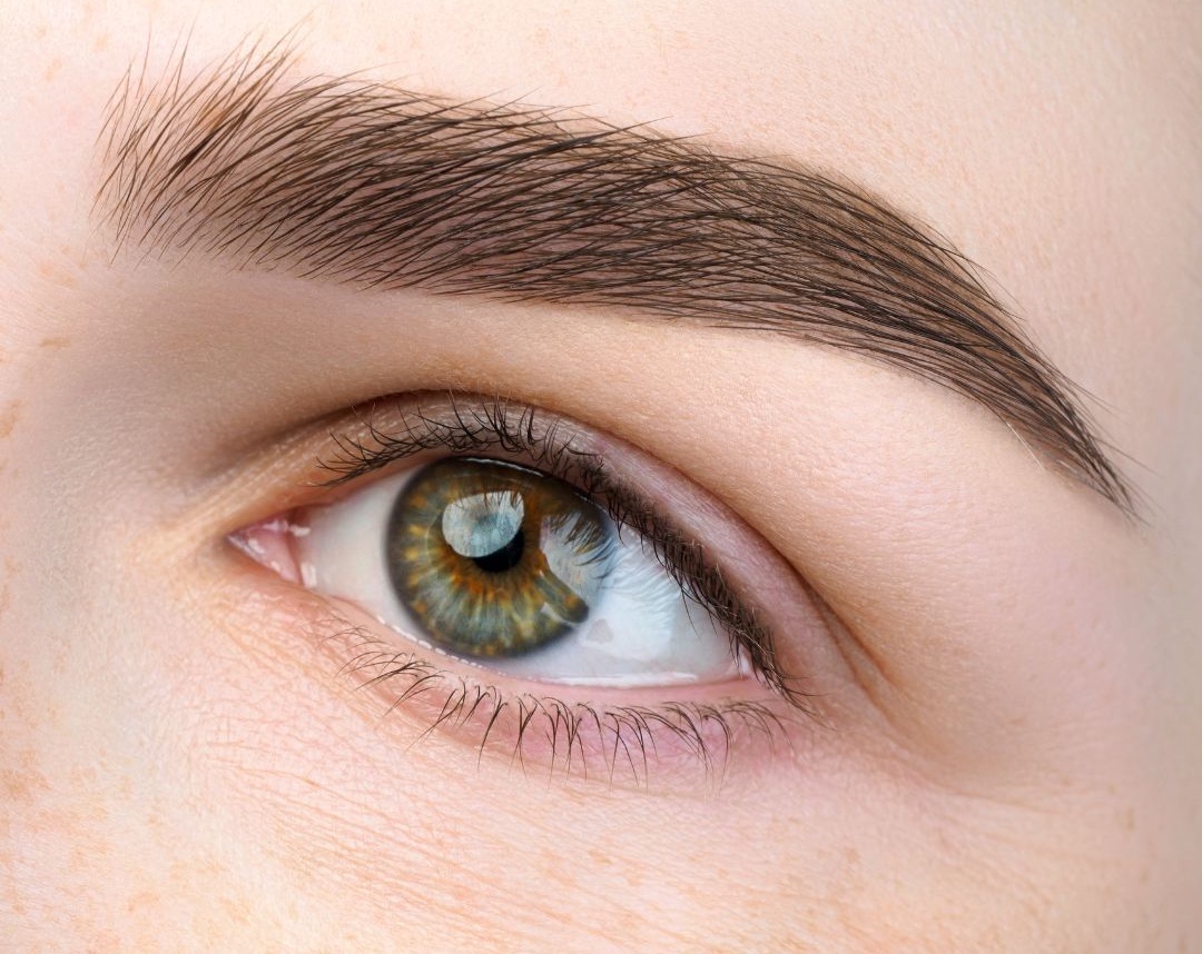 HOW DO EYEBROWS SHAPE THE FACE?