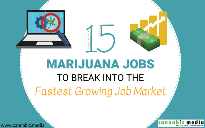 15 Marijuana Jobs to Break into the Fastest Growing Job Market ...
