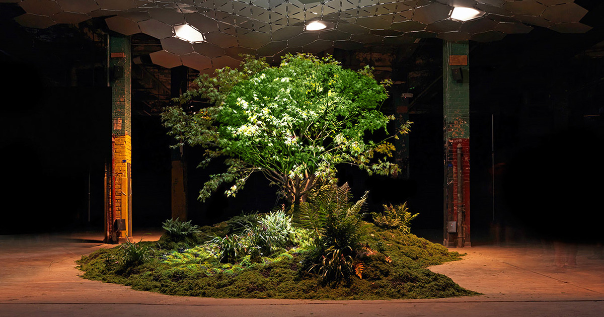 About | Hortus Environmental Design