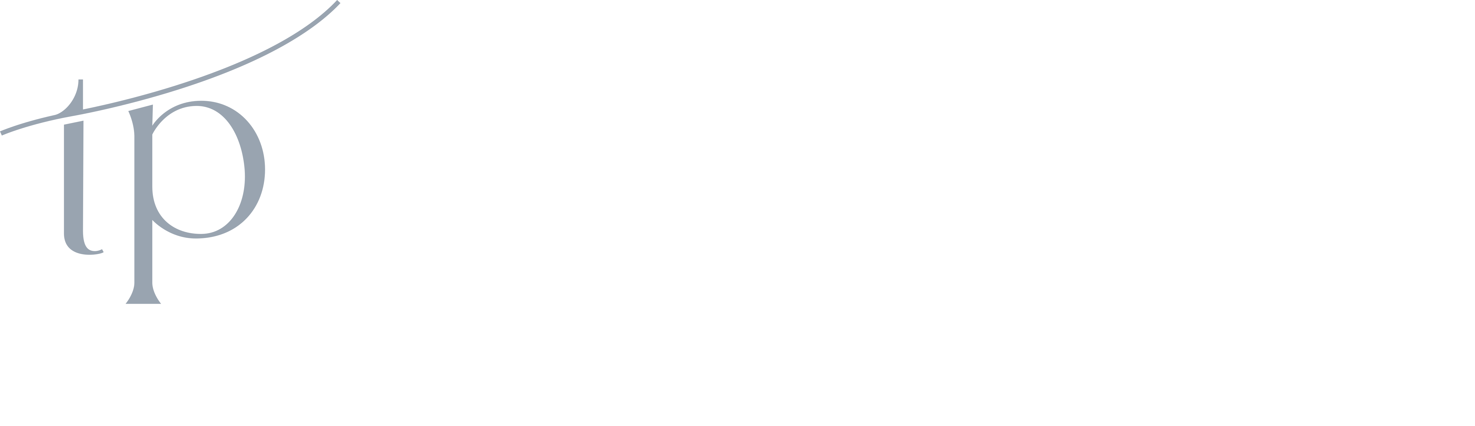 Contato - TP CORPORATE