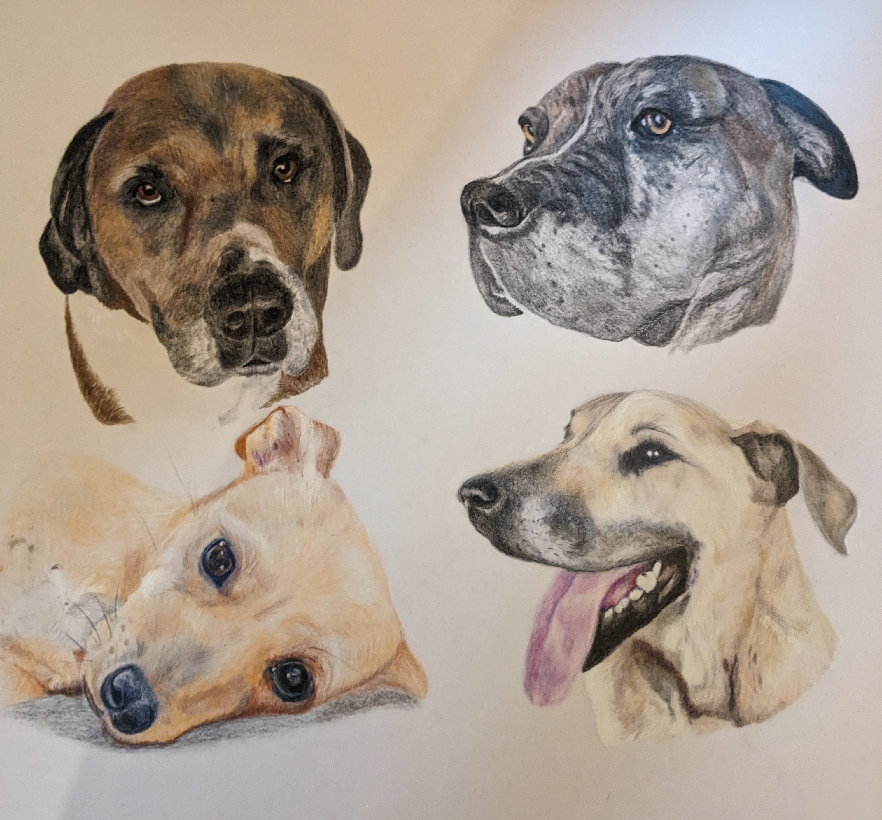 Tree Street Art Safari