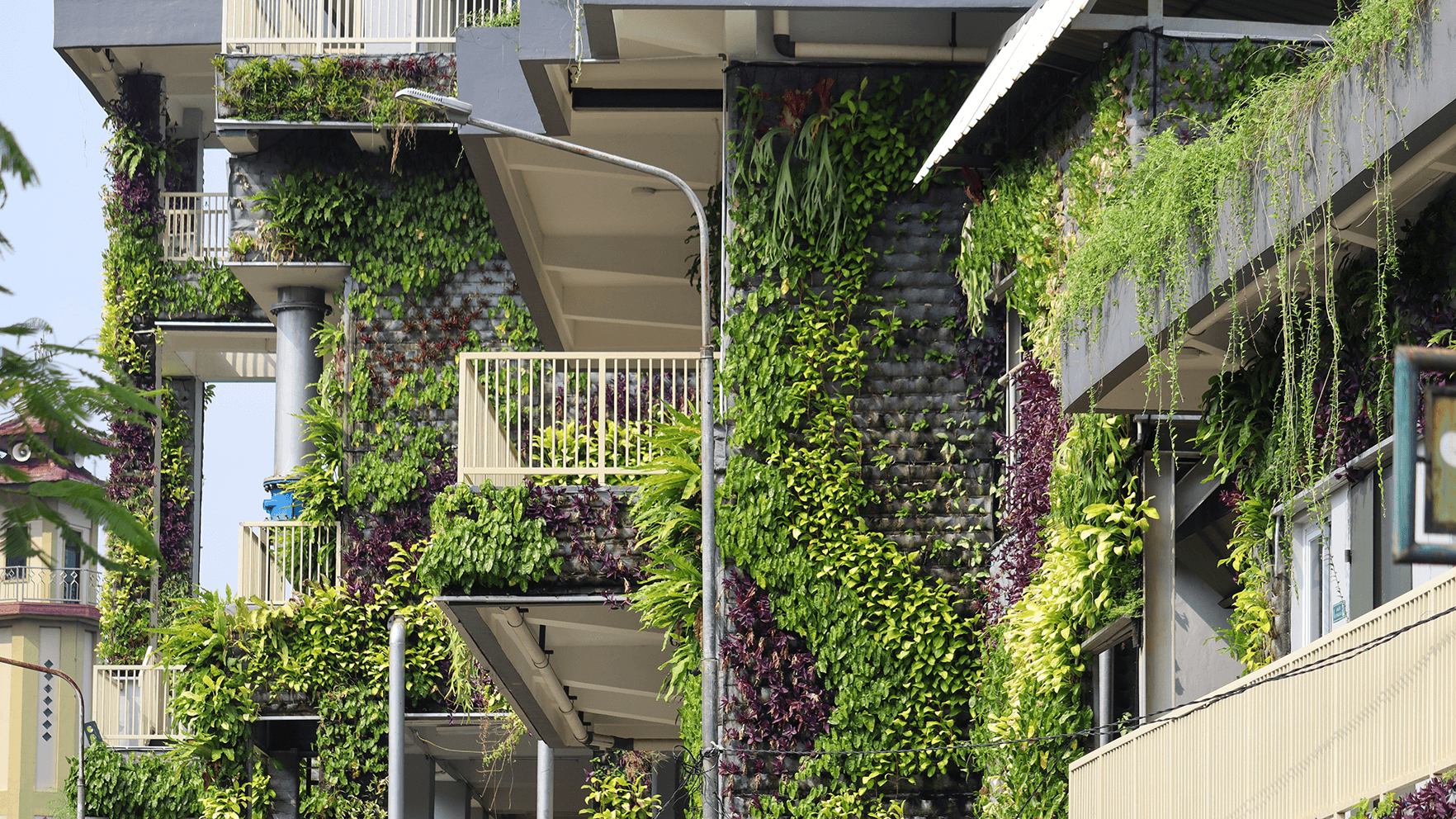 National Green City Day