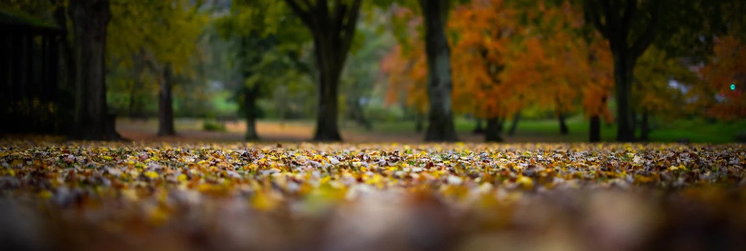 Plan Your Visit - Discover Ashbourne