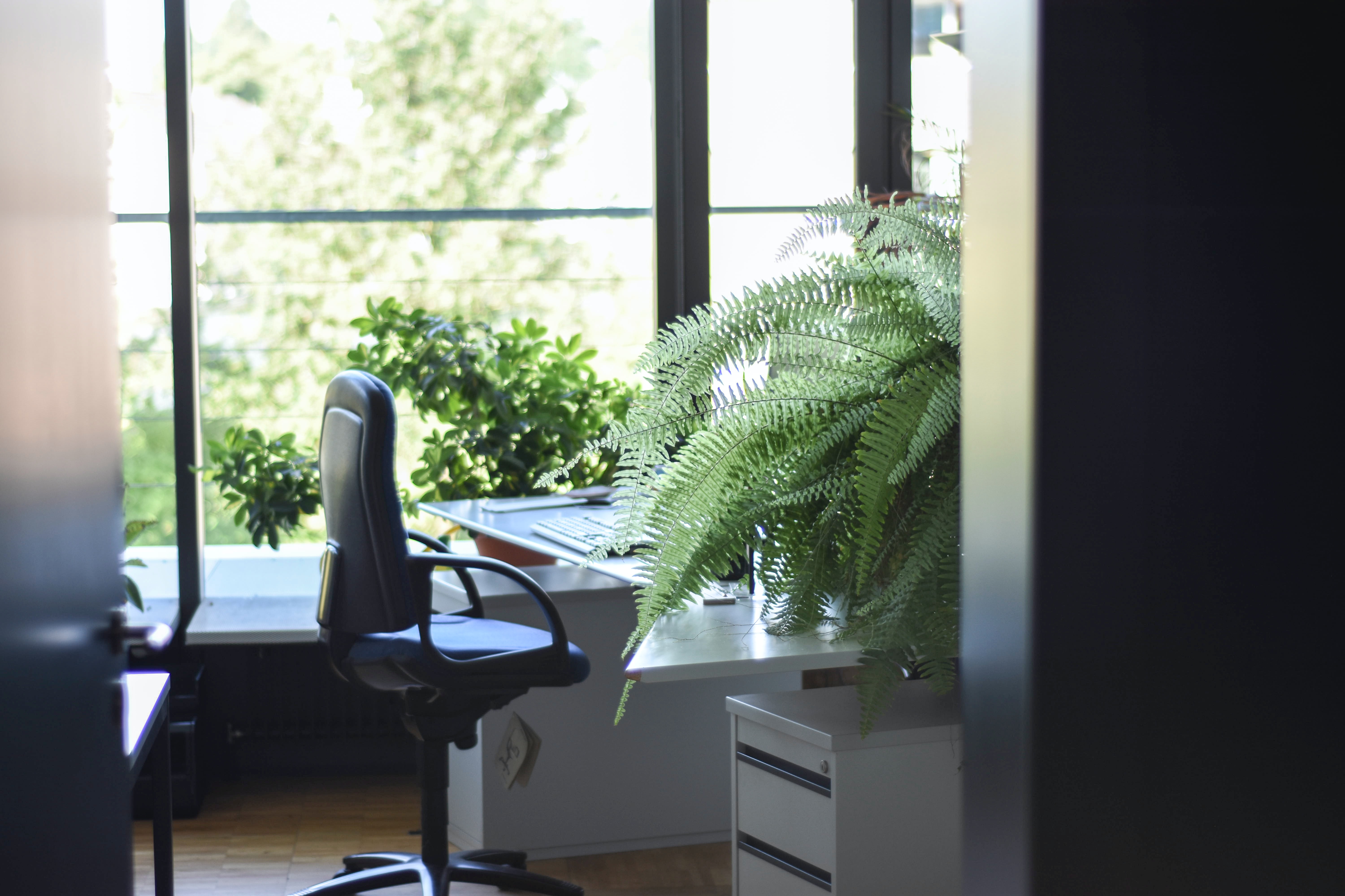 5 Easy Ways to Improve Your Office Environment
