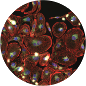 Recursion's Origin and Journey | Recursion