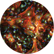 Recursion's Origin and Journey | Recursion