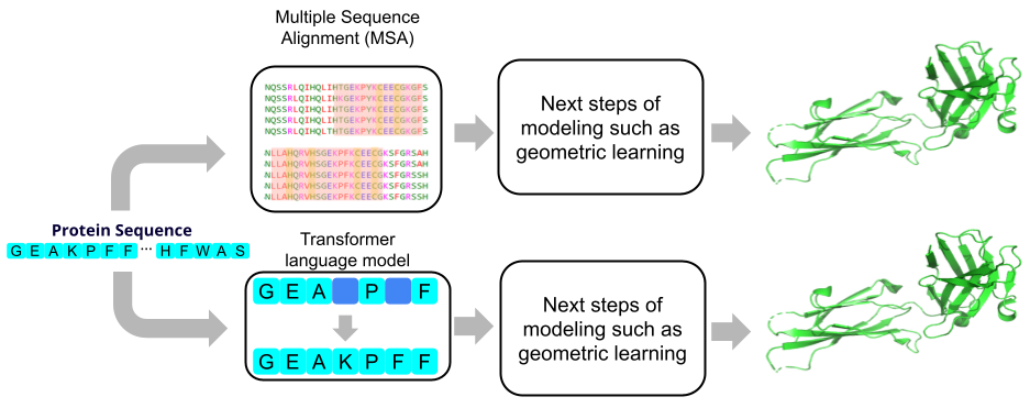 Decoding Protein Structures: From AlphaFold to Beyond