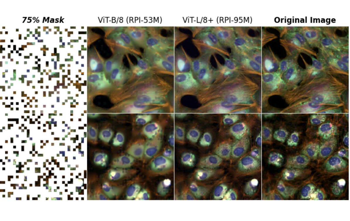 Scientific Materials