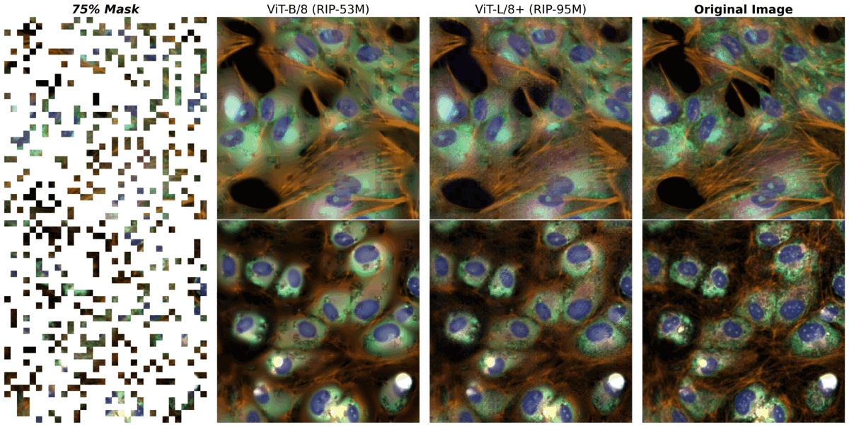 Nothing Short of Phenomenal: New Deep Learning Model Available on ...