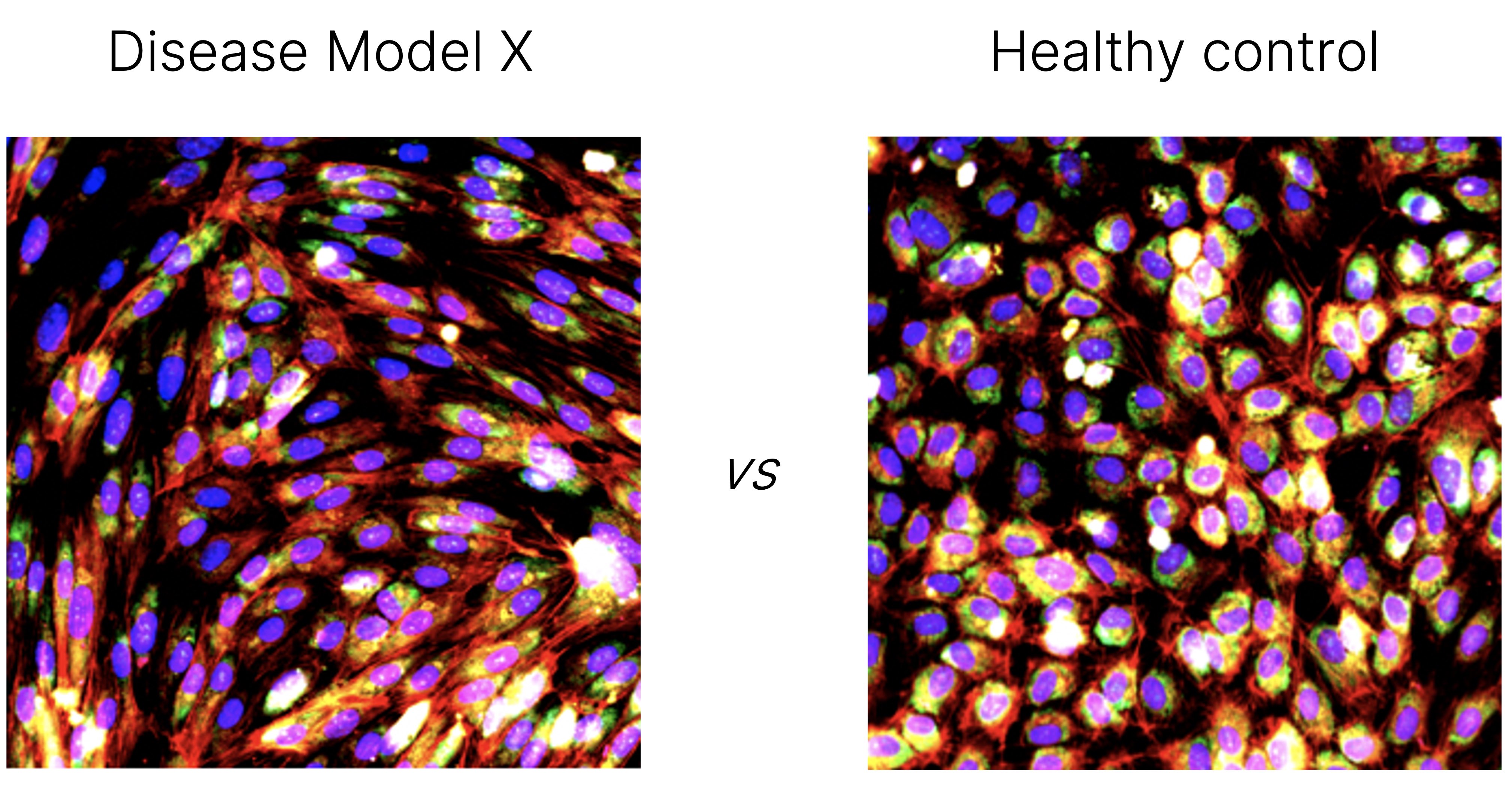 Nothing Short of Phenomenal: New Deep Learning Model Available on ...