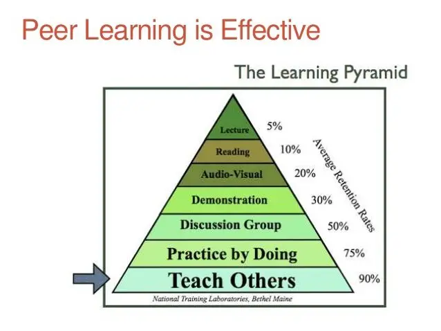 Peer Training: Learning Together to Build a Stronger Team - Teachfloor Blog