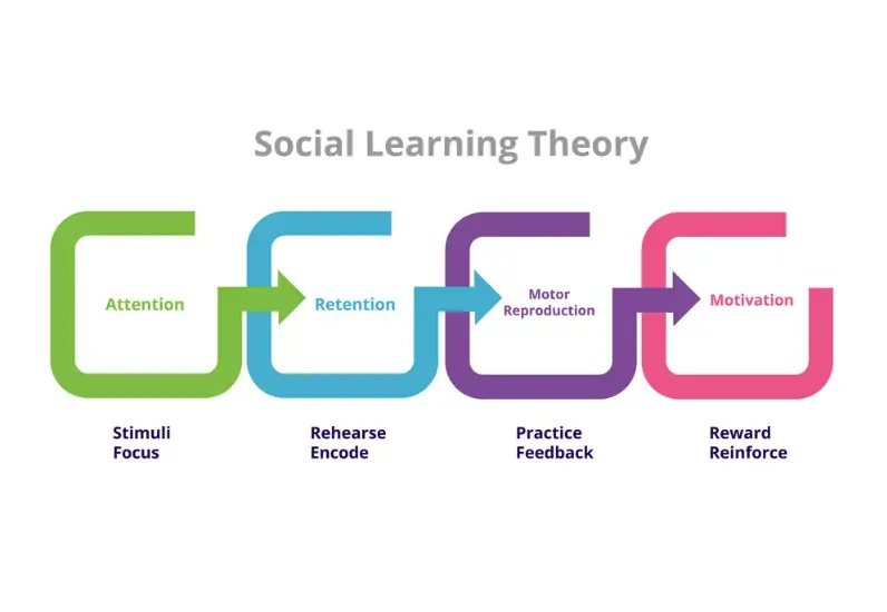 What is Social Learning? Important Tips, Strategies, & Examples ...
