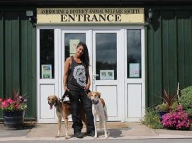 Ashbourne Animal Welfare - Discover Ashbourne