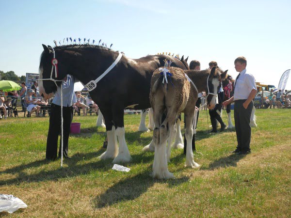 Discover Ashbourne - Manifold Show