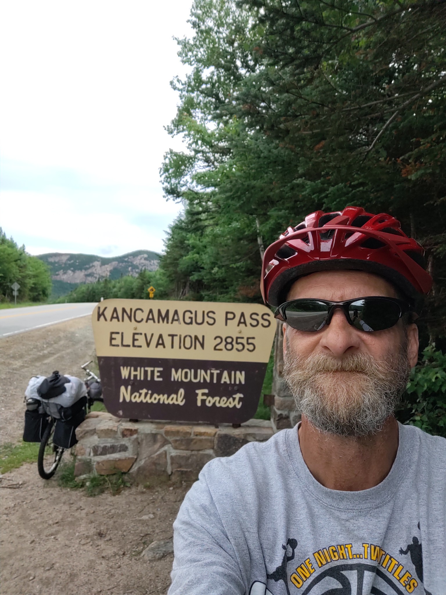 Only a fool fights to end plight