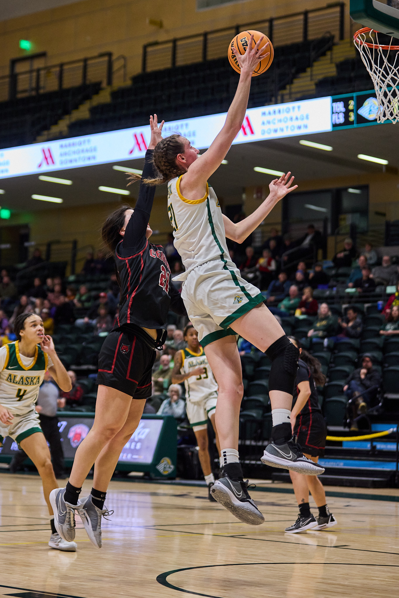 Seawolves Women’s Basketball fall to the Wildcats