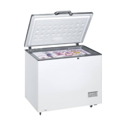 Deep Freezer - Bless Maldives