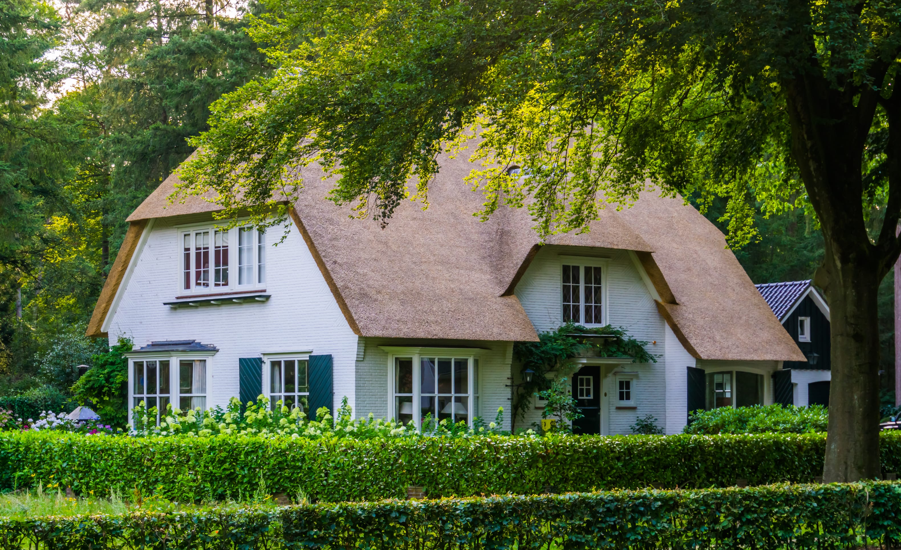 Linda Huisman - Vrijstaand landelijk huis helft goedkoper dan Amsterdam