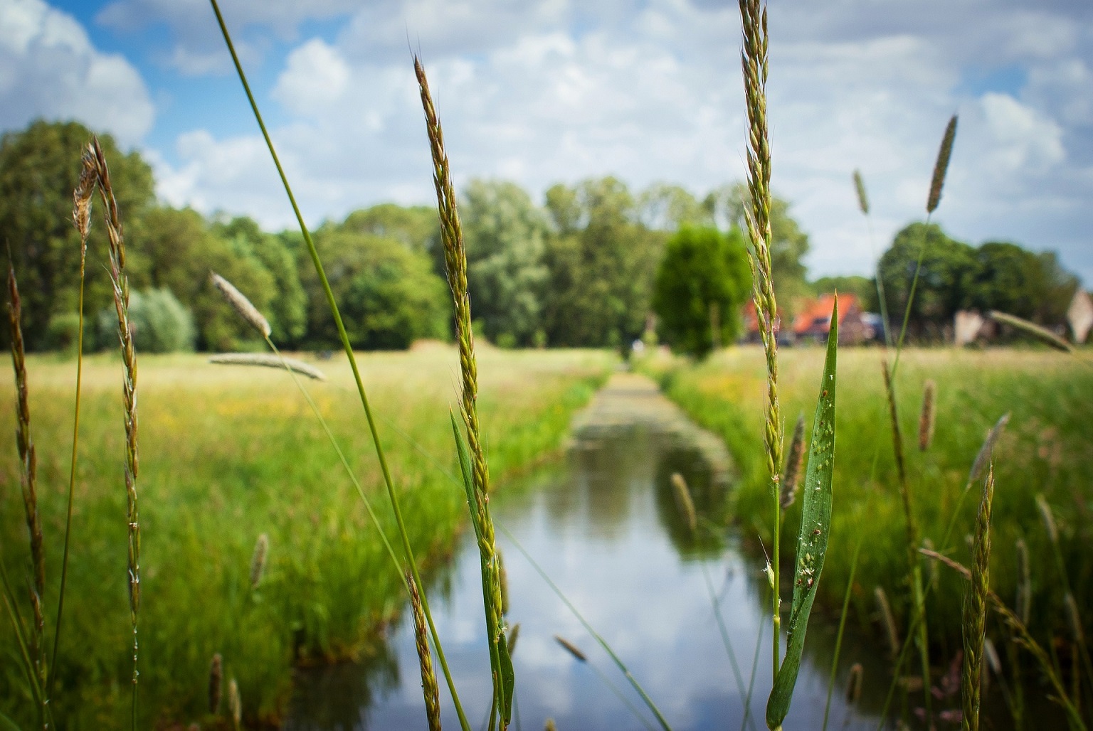 Schaarste in buitengebied leidt op termijn tot prijsstijgingen – Ilse ...