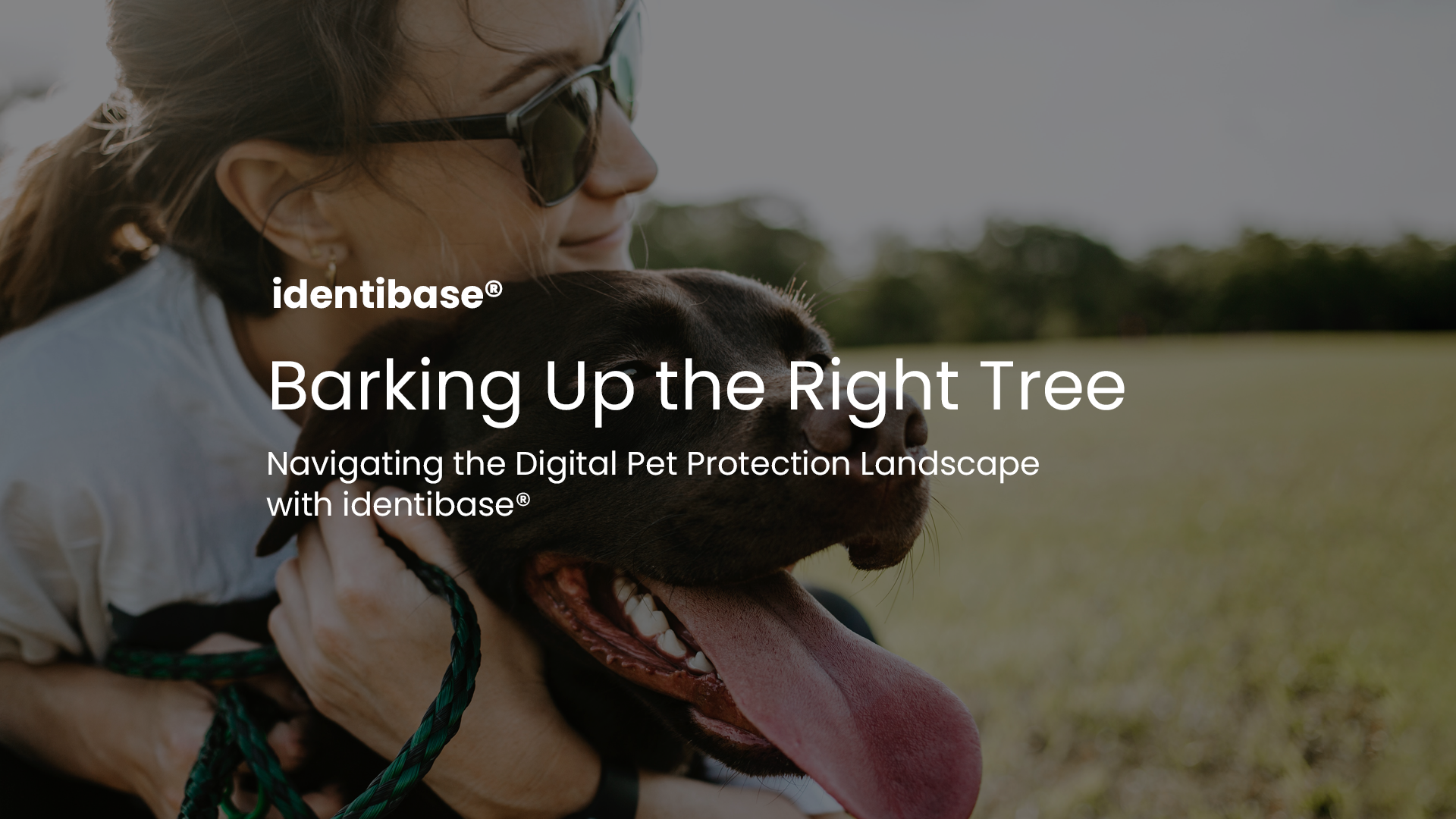 Case Studies - identibase®