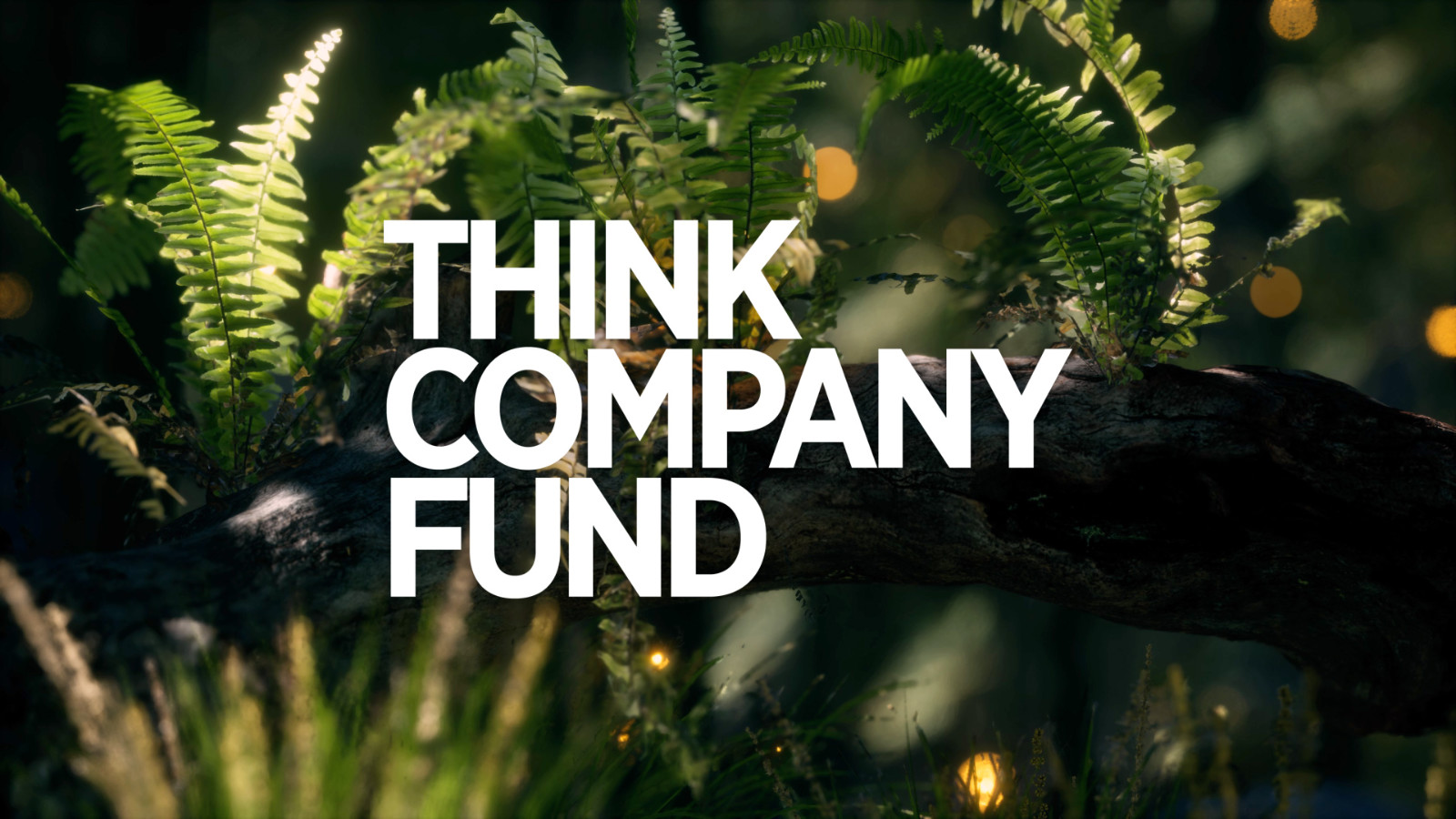 Programs | Helsinki Think Company