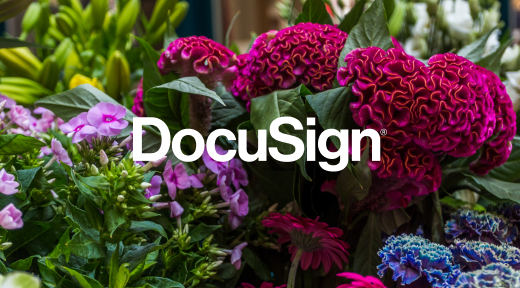DocuSign Brand | Logo