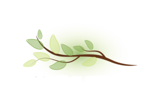 Join the MRC Team Today | Recruiting Now