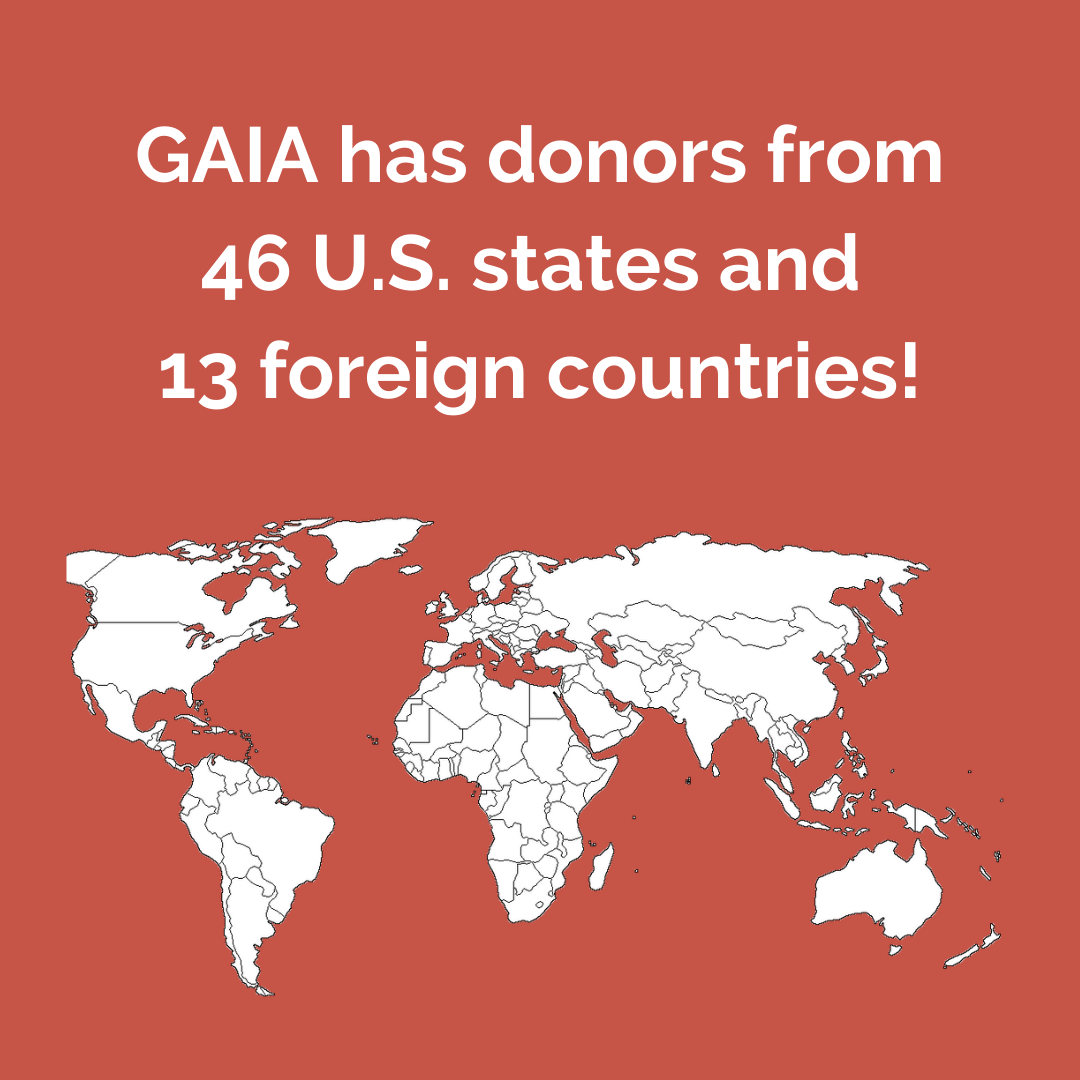 GAIA Global Health