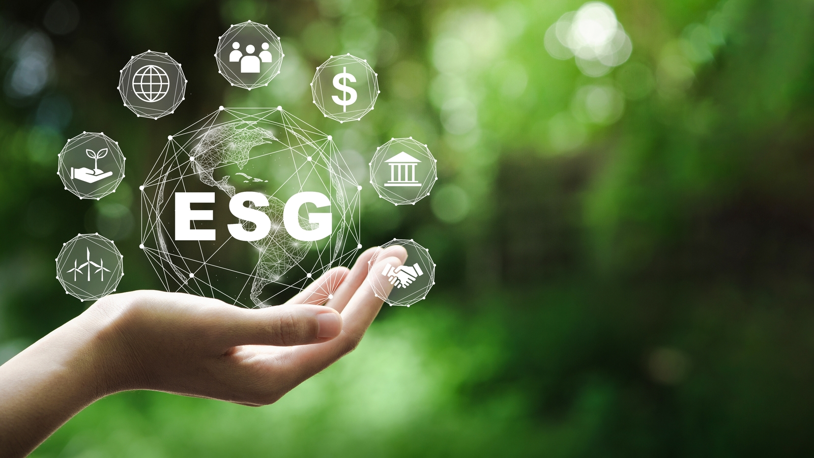 ESG: What is Environmental, Social and Governance? - Net0