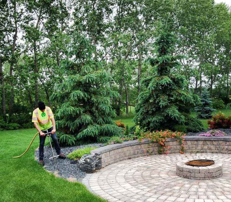 About Us - Alliance Tree Care