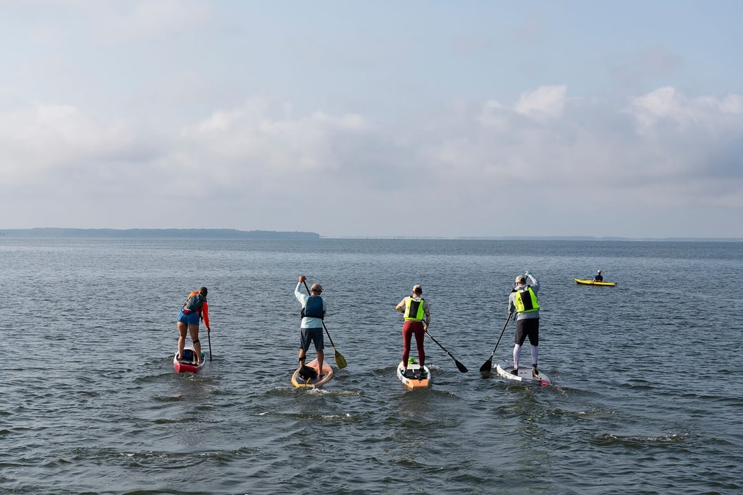 Bay Paddle Kayak, Canoe, SUP Bay Race Event