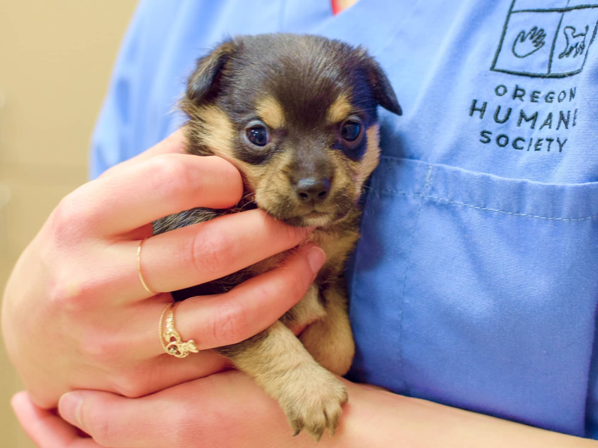 Oregon Humane Society