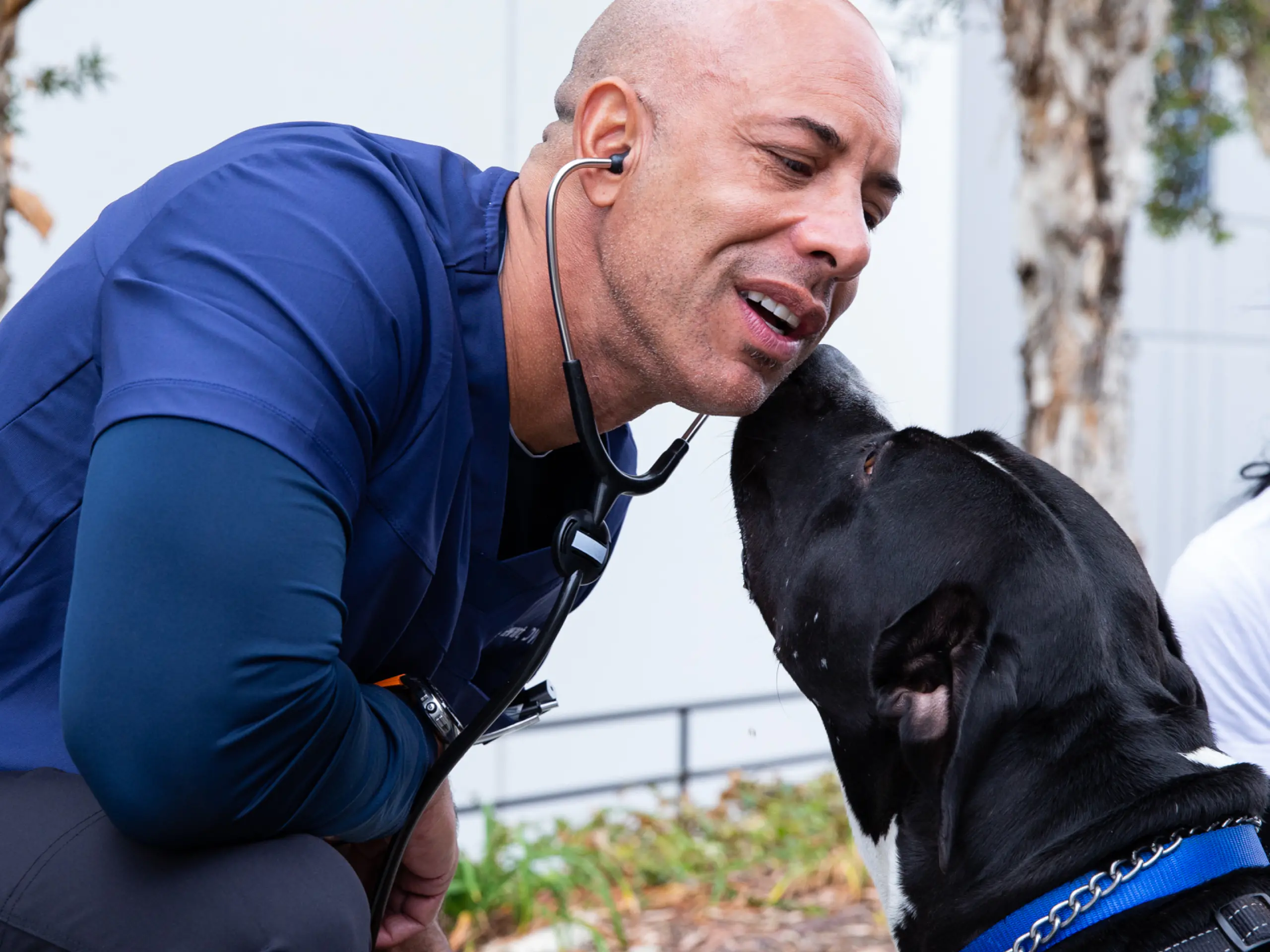 Dr. Kwane Stewart shares tips for bringing a new shelter pet home