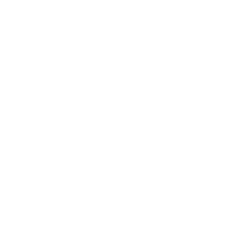 Analog IP the way you want it | Agile Analog