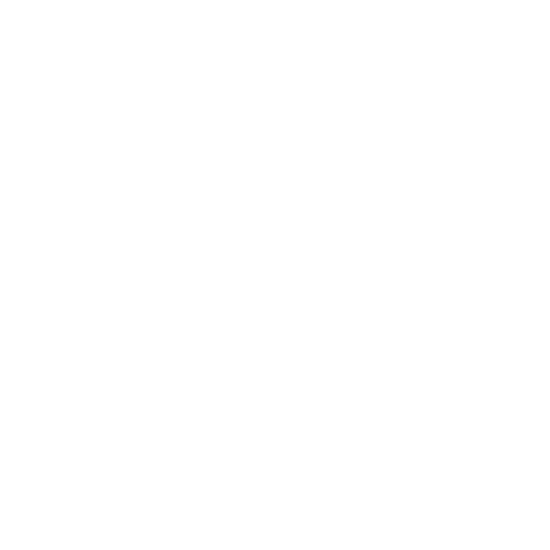 Analog IP the way you want it | Agile Analog