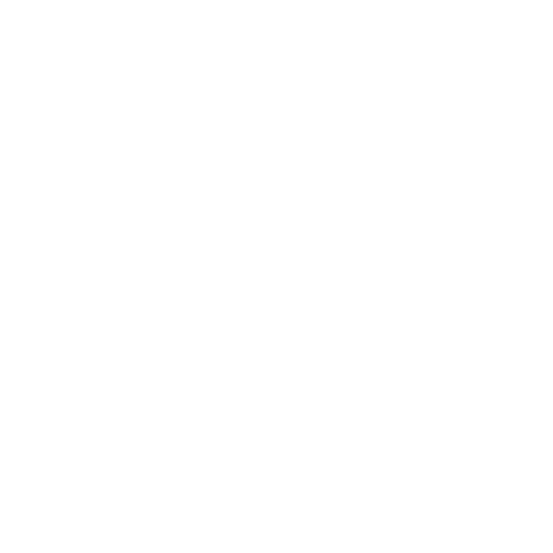 Analog IP the way you want it | Agile Analog