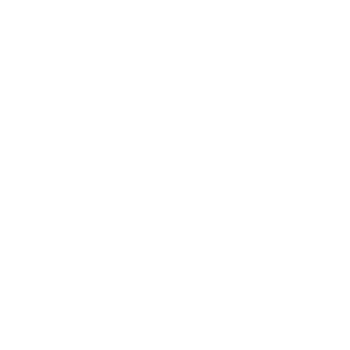 Analog IP the way you want it | Agile Analog