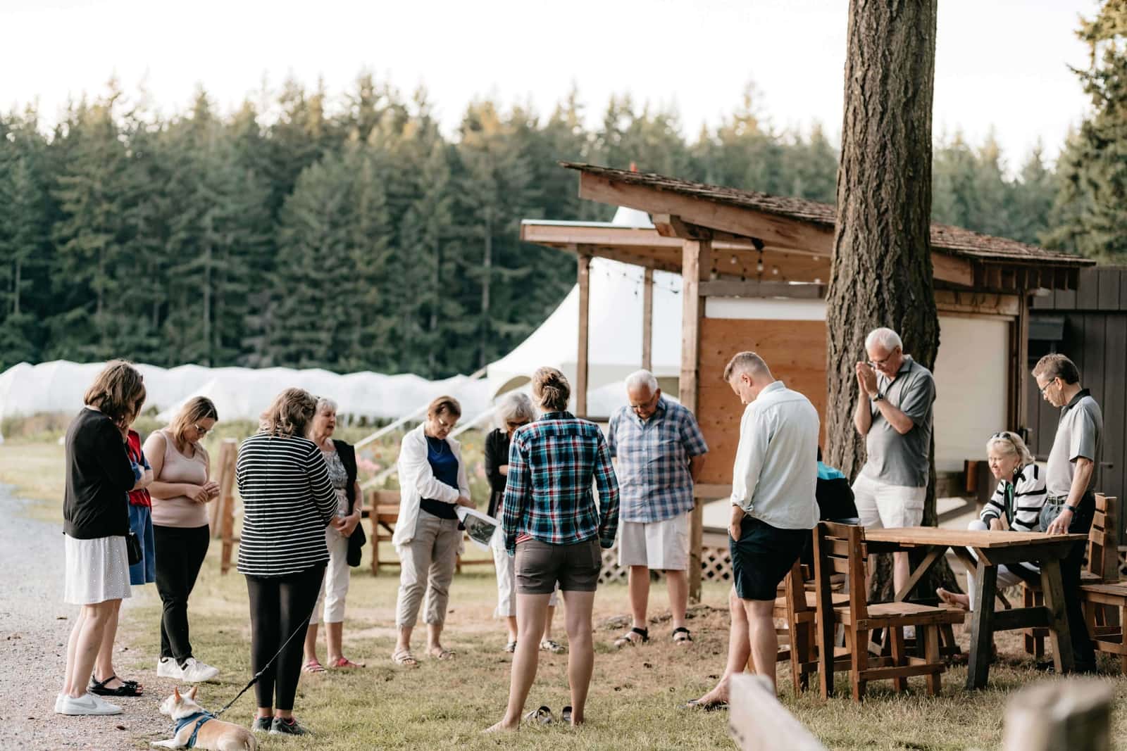 Life Groups - Christian Life Assembly