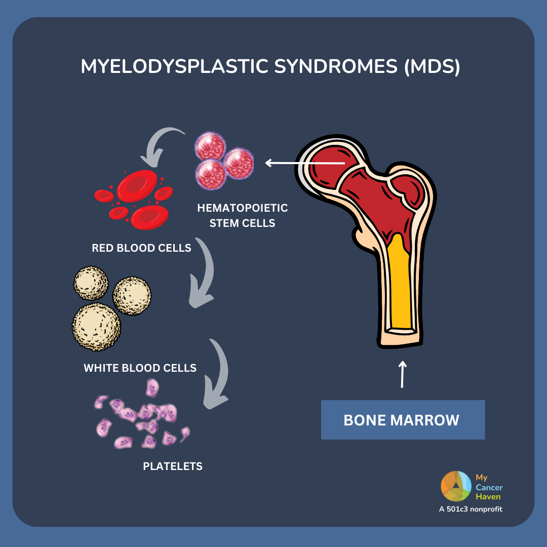 Myelodysplastic Syndrome - What exactly is it ? | MCH Blog