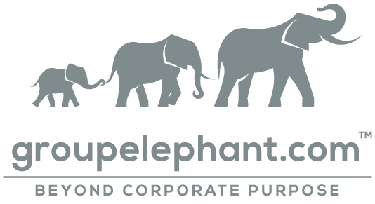 Magnisol | Your proven partner for Dayforce solutions