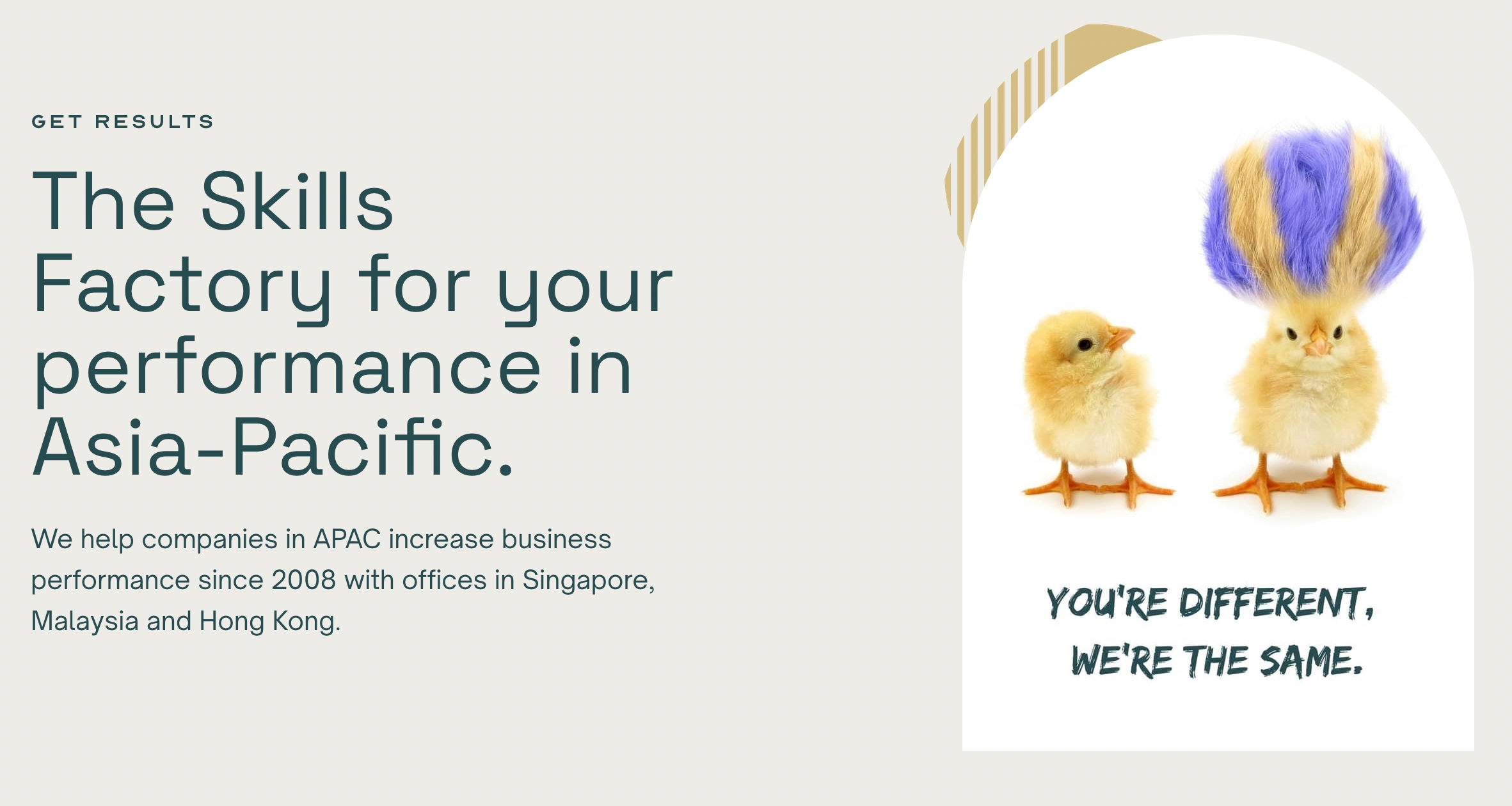 Timeo Performance - The Skills Factory for your performance