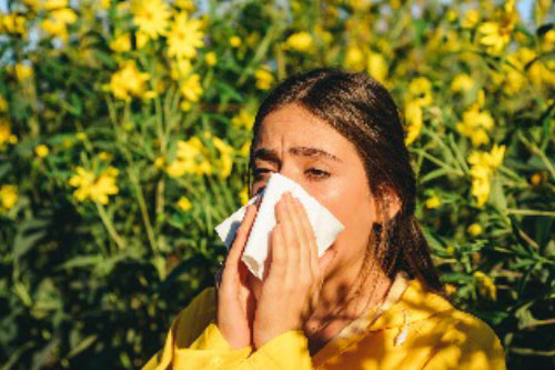 Outstanding Ear, Nose and Throat Care in Frederick, MD