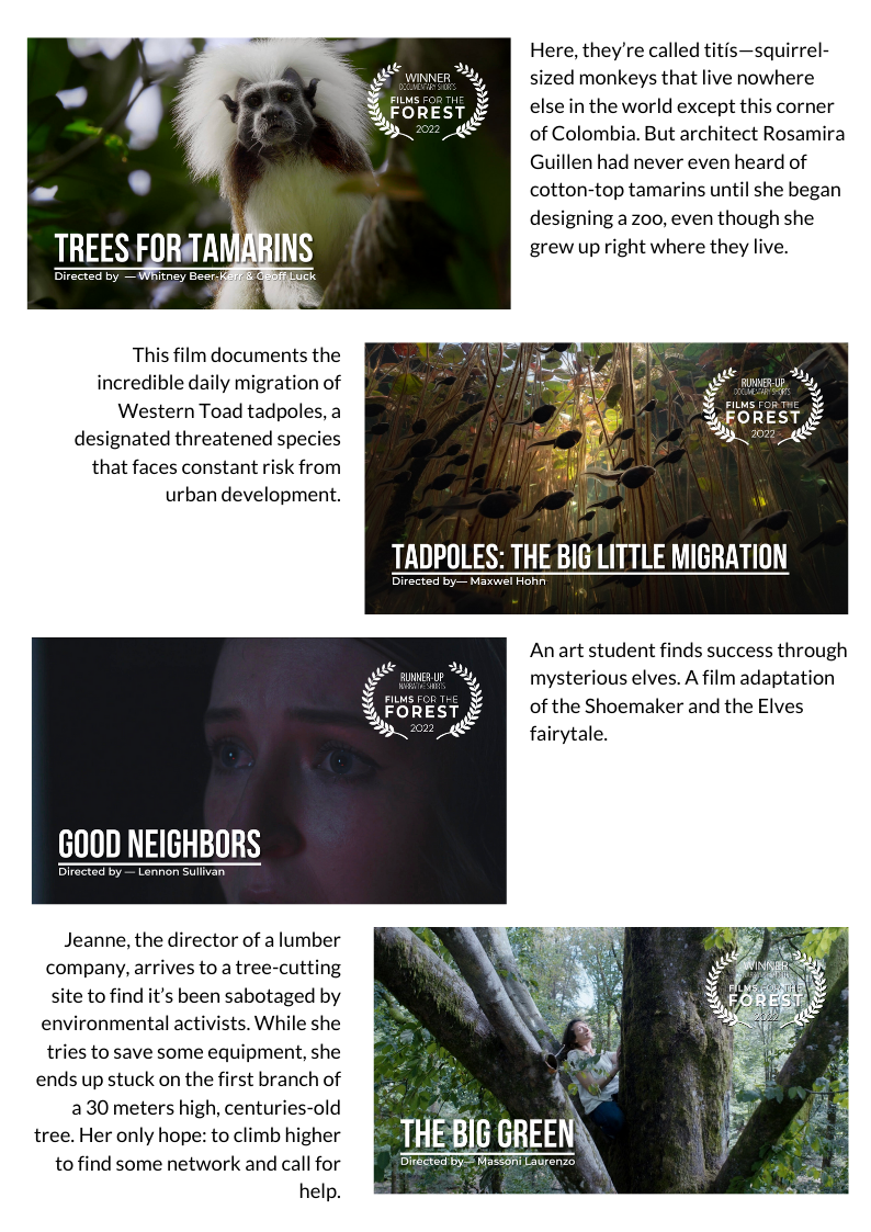 Films for the Forest 2022 at World Rainforest Day