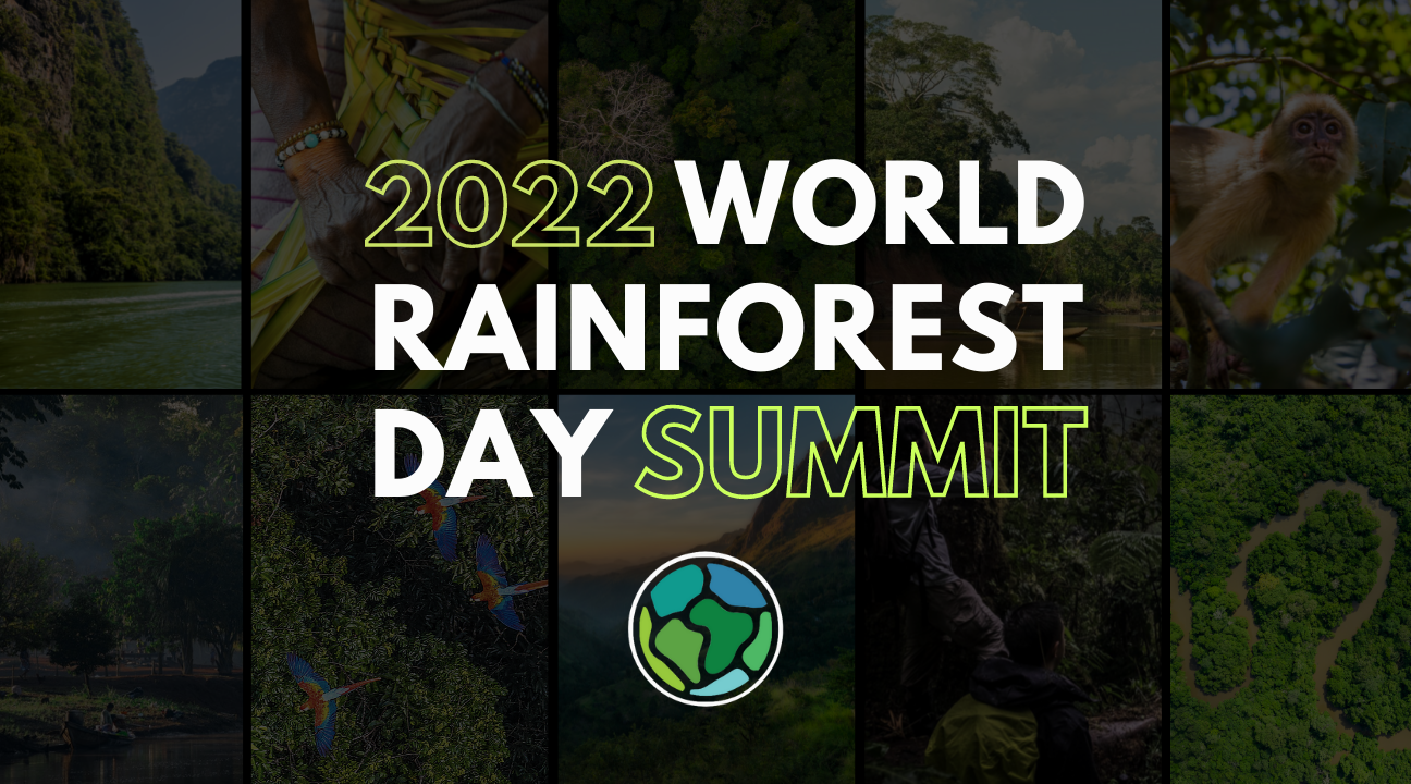 World Rainforest Day: Summit Brings Together Global Community