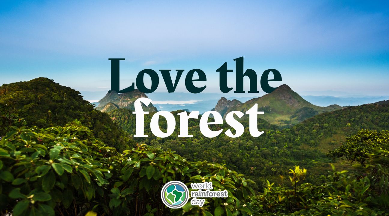 World Rainforest Day Unites Global Community for Forest Protection