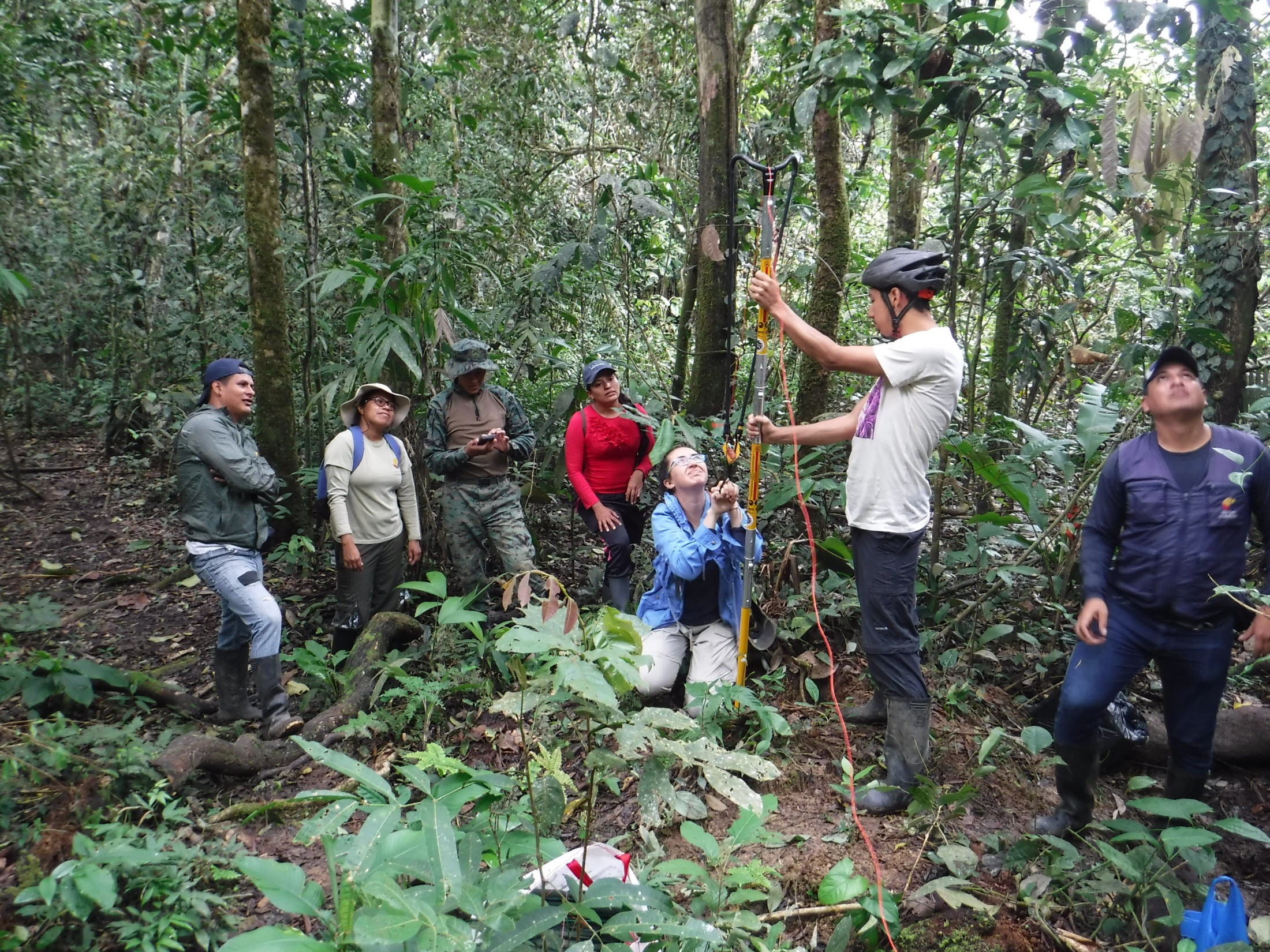 Butterfly Monitoring Across Ecuador’s National Parks