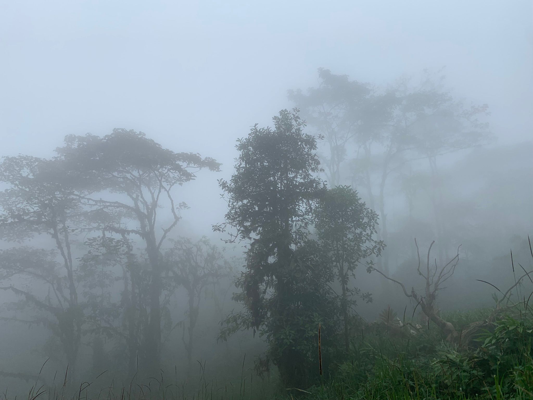 Protecting and Building Connectivity Within the Highly Threatened ...