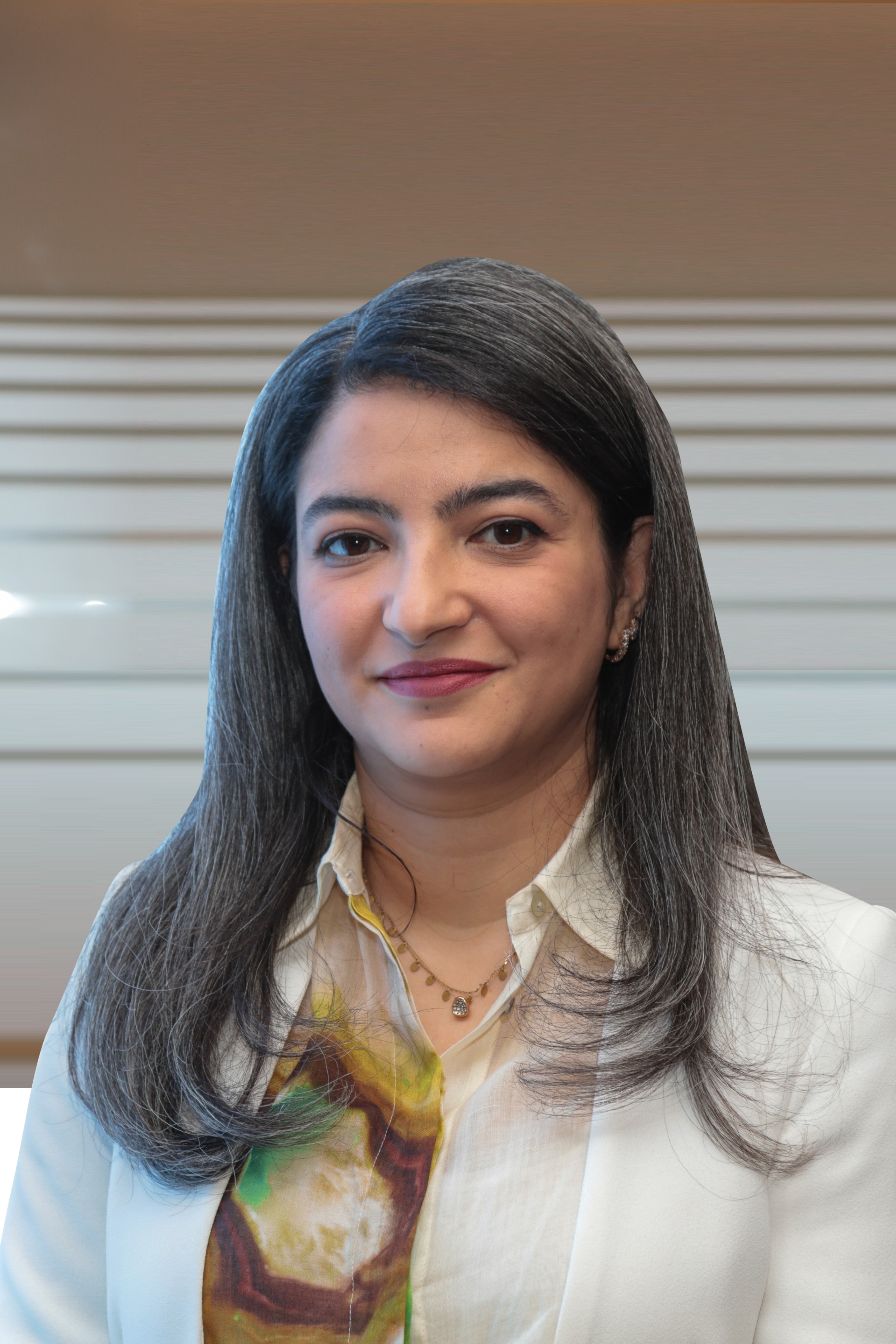 Senergy Holding for Oil Field & Gas Services | About