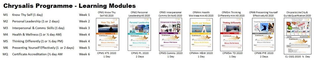 The Chrysalis Programme: A Vision for Change