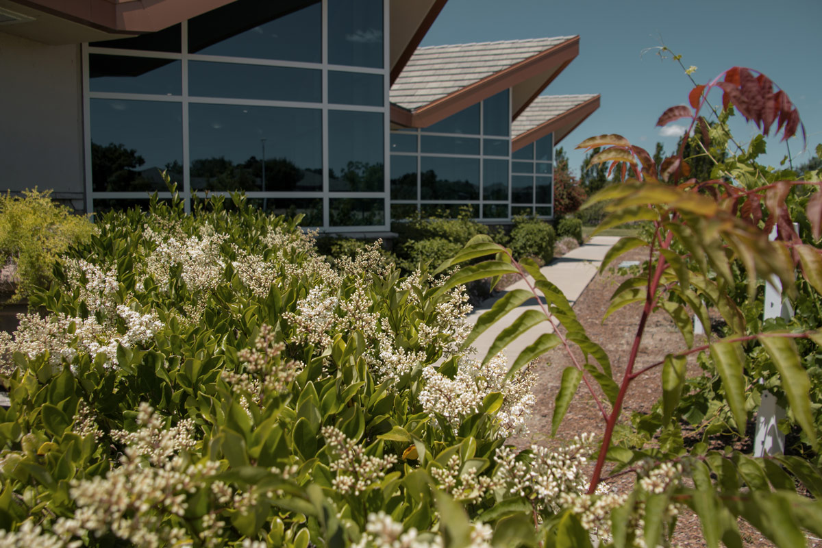 Monarch Landscape Companies - Serving CA, WA, CO, OR and TX